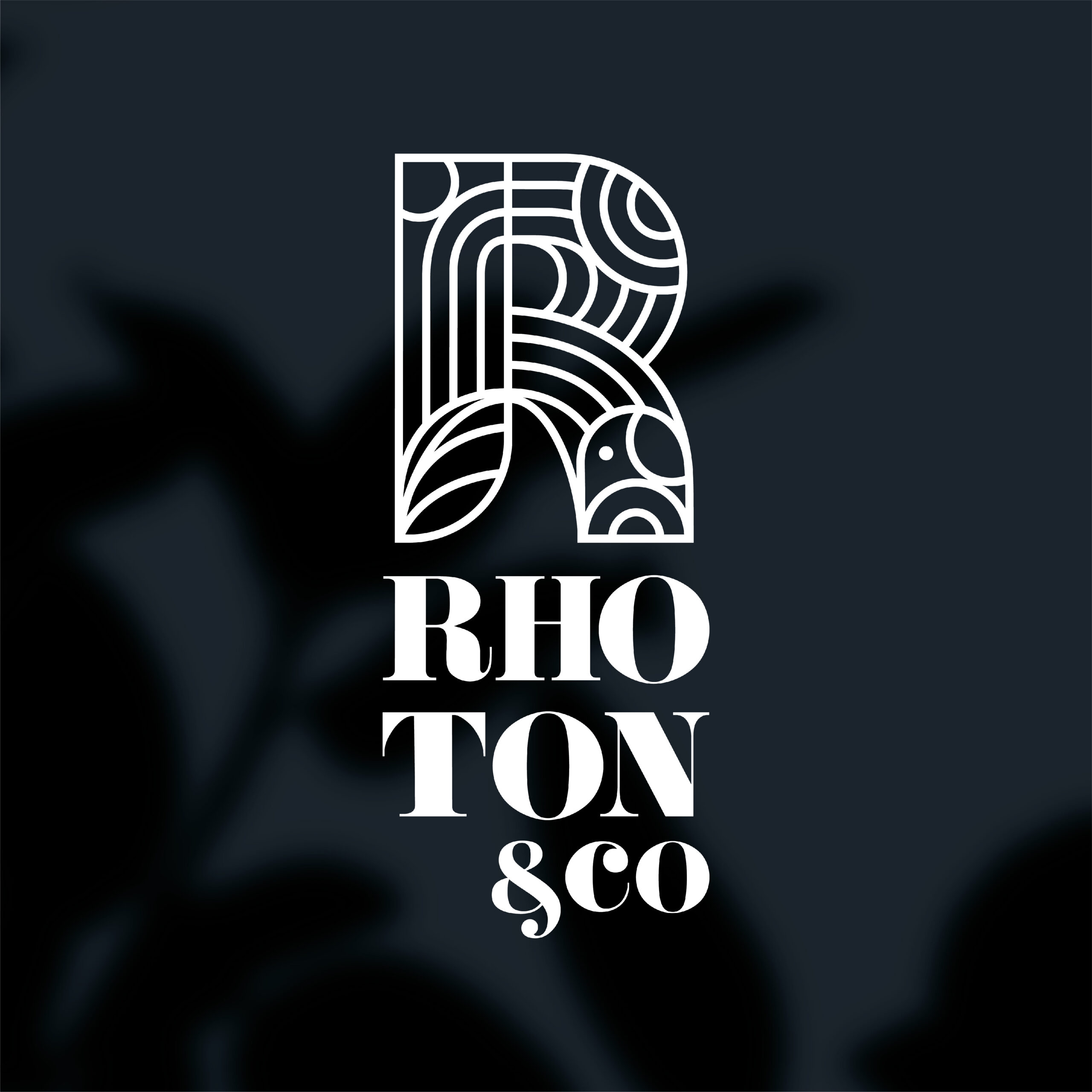Rhoton & Co.